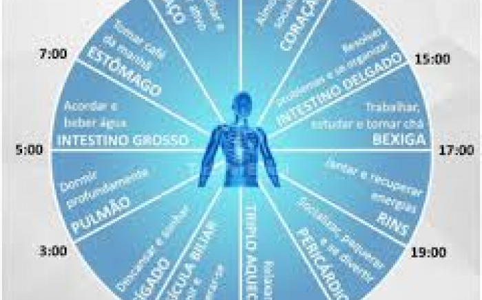 Ritmo circadiano ou ciclo circadiano - Blog da Ale Françoise | DIARINHO