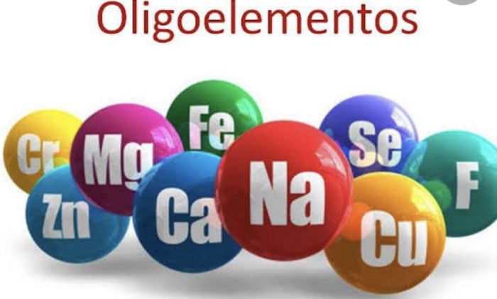 Oligoelementos, você conhece? - Blog da Ale Françoise | DIARINHO
